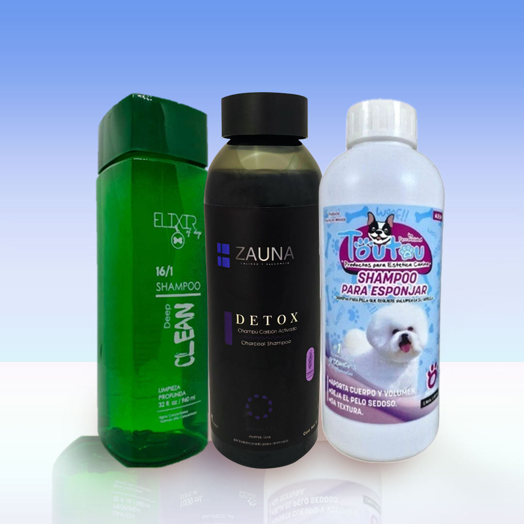Shampoos – Charli Store