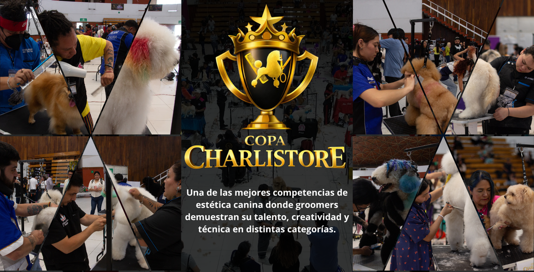 Charli Store Todo para tu estética canina.