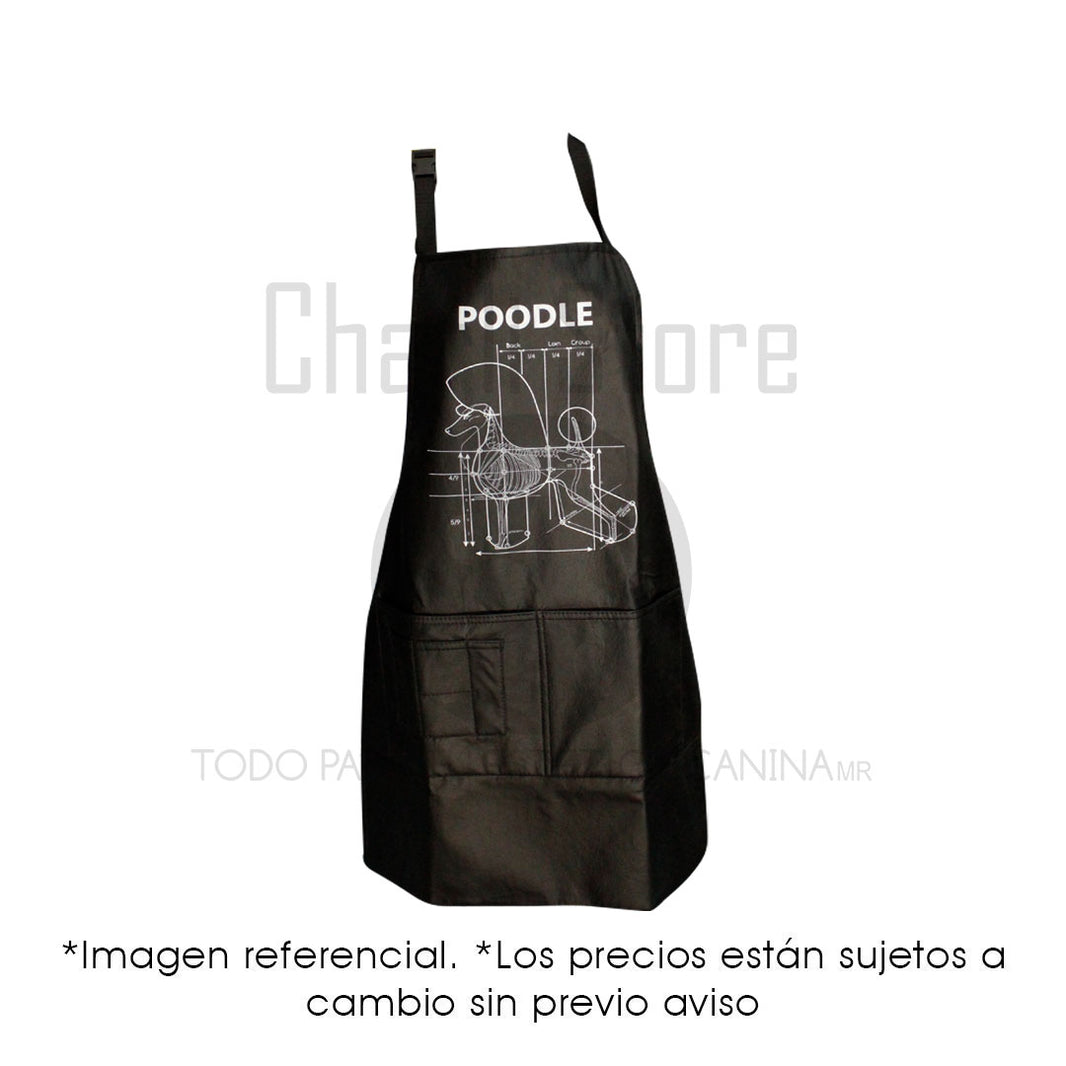 Ropa Para Estilista – Charli Store