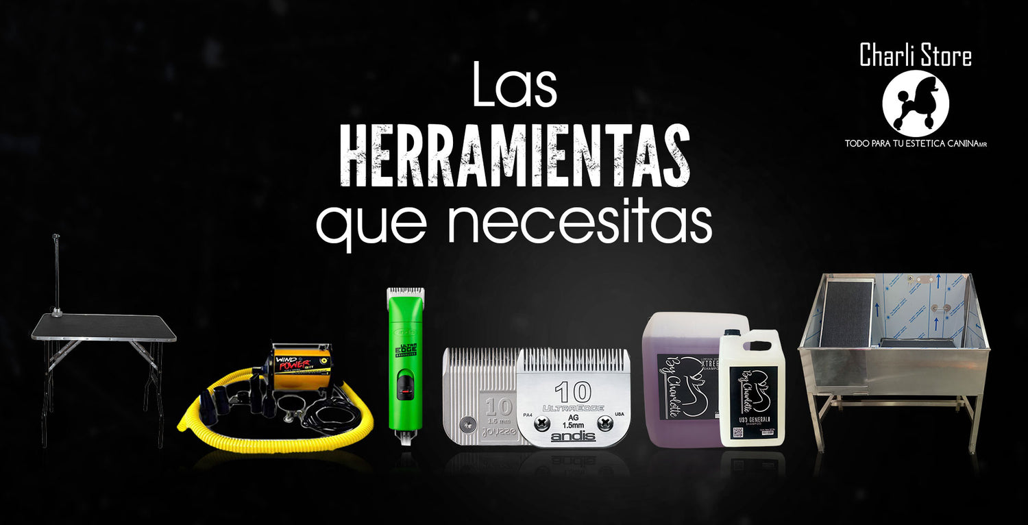 Charli Store Todo para tu estética canina.
